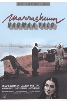 ‎Marraskuun harmaa valo (1993) directed by Anssi Mänttäri • Reviews ...