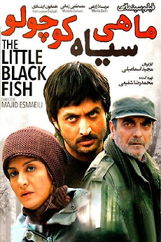 ‎The Little Black Fish (2015) directed by Majid Esmaili • Film + cast ...