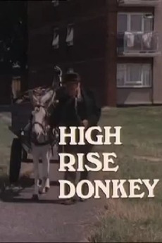 ‎High Rise Donkey (1980) directed by Michael Forlong • Reviews, film ...