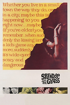 ‎Splendor in the Grass (1961) directed by Elia Kazan • Reviews, film ...