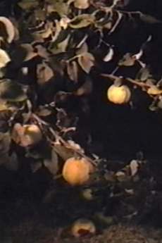 ‎Angel's Gate (1989) directed by Bill Viola • Reviews, film + cast ...