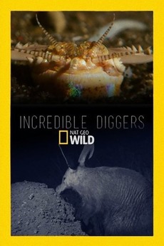 ‎Incredible Diggers (2016) • Film + cast • Letterboxd
