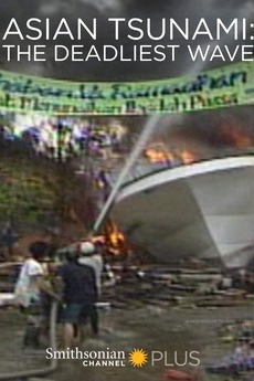 ‎Asian Tsunami: The Deadliest Wave (2014) directed by Marc Tiley ...