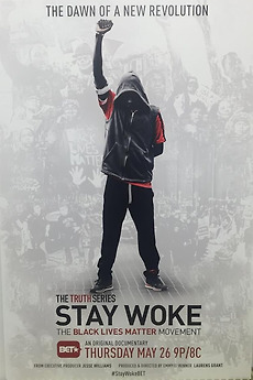 ‎Stay Woke: The Black Lives Matter Movement (2016) directed by Laurens ...