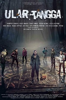 ‎Snakes & Ladder (2017) directed by Arie Azis • Reviews, film + cast ...