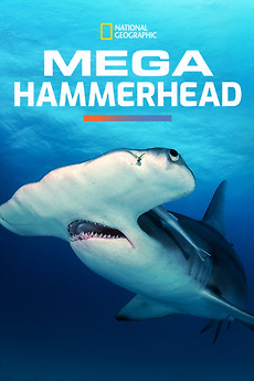 ‎Mega Hammerhead (2016) directed by Brandon Hill • Reviews, film + cast • Letterboxd