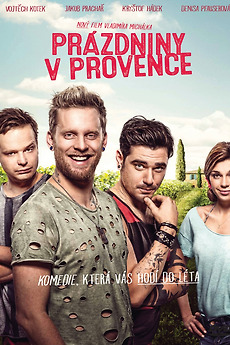 ‎Prázdniny v Provence (2016) directed by Vladimír Michálek • Film ...