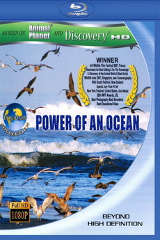 ‎Equator: Power of an Ocean • Film + cast • Letterboxd