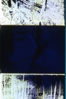 ‎Later That Same Night (1971) directed by Will Hindle • Reviews, film ...