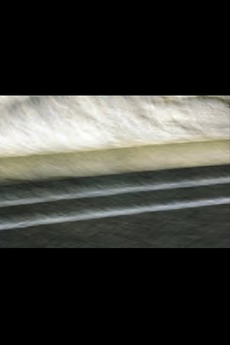 ‎Meinhardt (2015) directed by Bill Bedford • Film + cast • Letterboxd