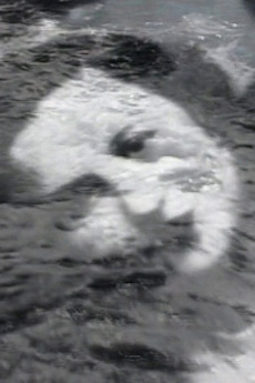 ‎The Last Goodbye (1988) directed by Robert Cahen • Film + cast ...