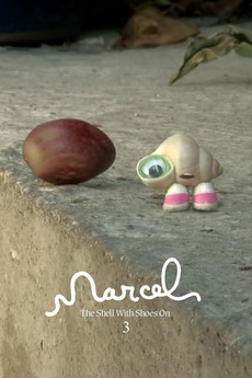 Marcel the Shell with Shoes On, Three’ review by Saffron444 • Letterboxd