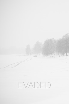 ‎Evaded (2013) directed by Johannes Persson, Rasmus Wassberg • Reviews ...