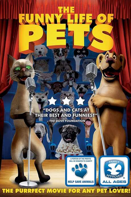 ‎The Funny Life of Pets (2016) directed by Evan Tramel • Reviews, film ...