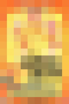 ‎The Love Bus (1974) directed by Shaun Costello • Reviews, film + cast ...