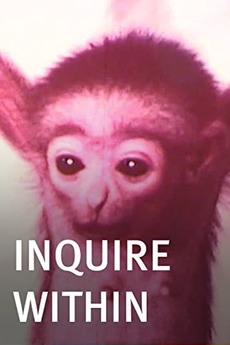 ‎Inquire Within (2012) directed by Jay Rosenblatt • Reviews, film ...