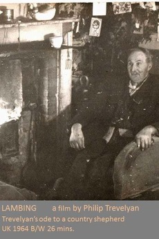 ‎Lambing (1965) directed by Philip Trevelyan • Film + cast • Letterboxd