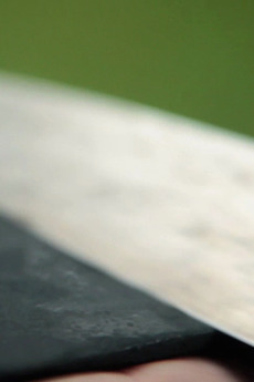 ‎Sharp Edge Blunt (2010) directed by Leighton Pierce • Reviews, film ...