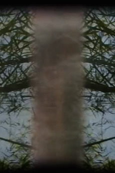 ‎Number One (2007) directed by Leighton Pierce • Reviews, film + cast ...