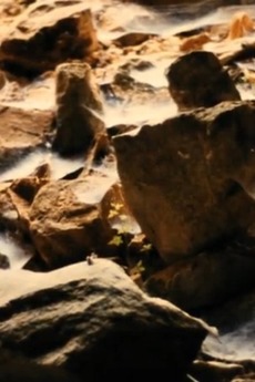 ‎theoria (2014) directed by Josh Weissbach • Film + cast • Letterboxd