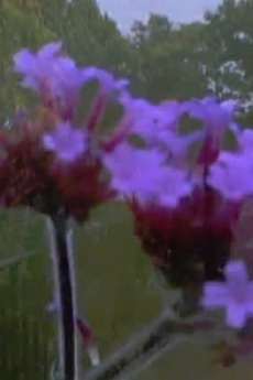 ‎Left Side, Riverside (2011) directed by Caryn Cline • Film + cast ...