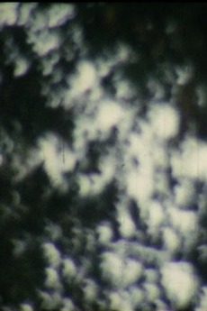 ‎Observational Series (1977) directed by John Woodman • Reviews, film ...