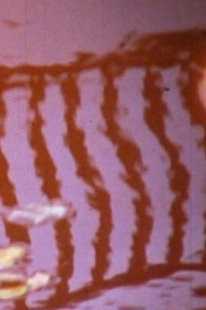 ‎Bridge • Film + cast • Letterboxd