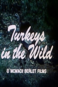 ‎Turkeys In The Wild (1992) • Reviews, film + cast • Letterboxd