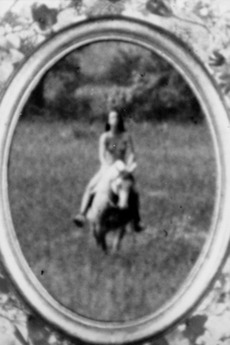 ‎Wildwood Flower (1971) directed by Alexander Keewatin Dewdney • Film ...