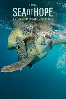 ‎Sea of Hope: America's Underwater Treasures (2017) directed by Robert ...