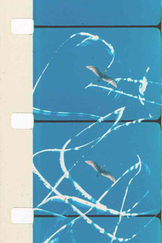 Reel 3 (1998) directed by Stan Brakhage • Reviews, film + cast • Letterboxd