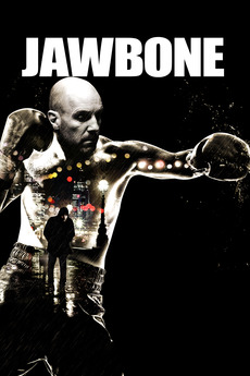 jawbone 2017