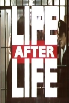 ‎Life After Life (1995) directed by Tim Fywell • Reviews, film + cast ...