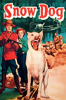 ‎Snow Dog (1950) directed by Frank McDonald • Reviews, film + cast ...