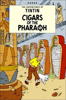 ‎Cigars of the Pharaoh (1991) directed by Stéphane Bernasconi • Reviews ...