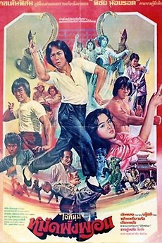 ‎Fearless Master (1980) directed by Peter Lo • Reviews, film + cast ...