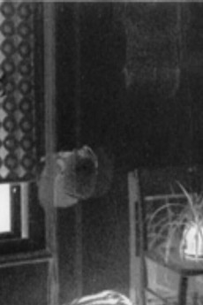 ‎Pan Film (1972) directed by Gill Eatherley • Film + cast • Letterboxd