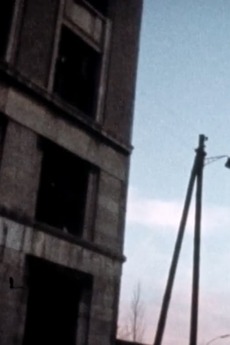 ‎Ach Viola (1971) directed by Rainer Boldt • Film + cast • Letterboxd