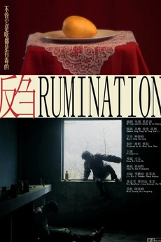 ‎Rumination (2009) directed by Xu Ruotao • Reviews, film + cast • Letterboxd