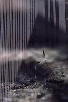 ‎Cruel Optimism (2017) directed by Paul Clipson • Reviews, film + cast ...