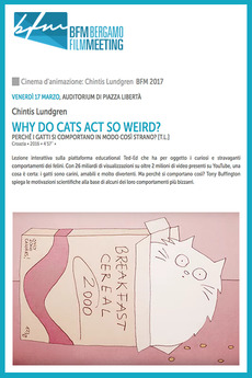 ‎Why Do Cats Act So Weird? (2016) directed by Chintis Lundgren ...