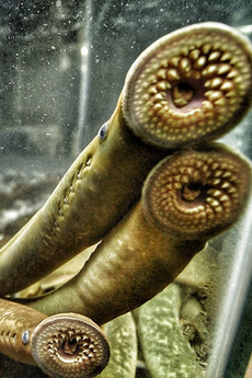 ‎Making Waves • Film + cast • Letterboxd