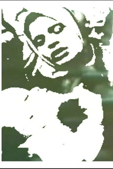 ‎The PSA Project (2005) directed by Cynthia Madansky • Reviews, film ...