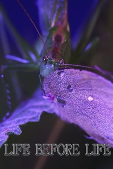 ‎Life Before Life (2017) directed by Rao Heidmets • Reviews, film ...