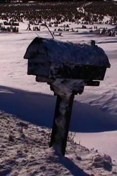 ‎Harry’s Passion (2004) directed by James Fotopoulos • Film + cast ...