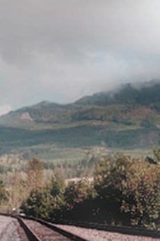 ‎The Rambler (2008) directed by Calvin Lee Reeder • Reviews, film ...