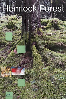 ‎Hemlock Forest (2016) directed by Moyra Davey • Reviews, film + cast ...