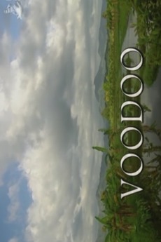 ‎Voodoo (2005) directed by José Manuel Novoa • Film + cast • Letterboxd