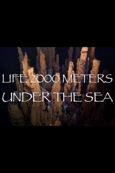 ‎Life 2,000 Meters Under the Sea (2014) directed by Jean Yves Collet ...