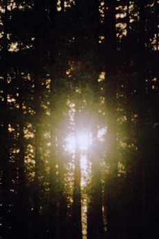 ‎Mancoon (2007) directed by Sandy Ding • Reviews, film + cast • Letterboxd